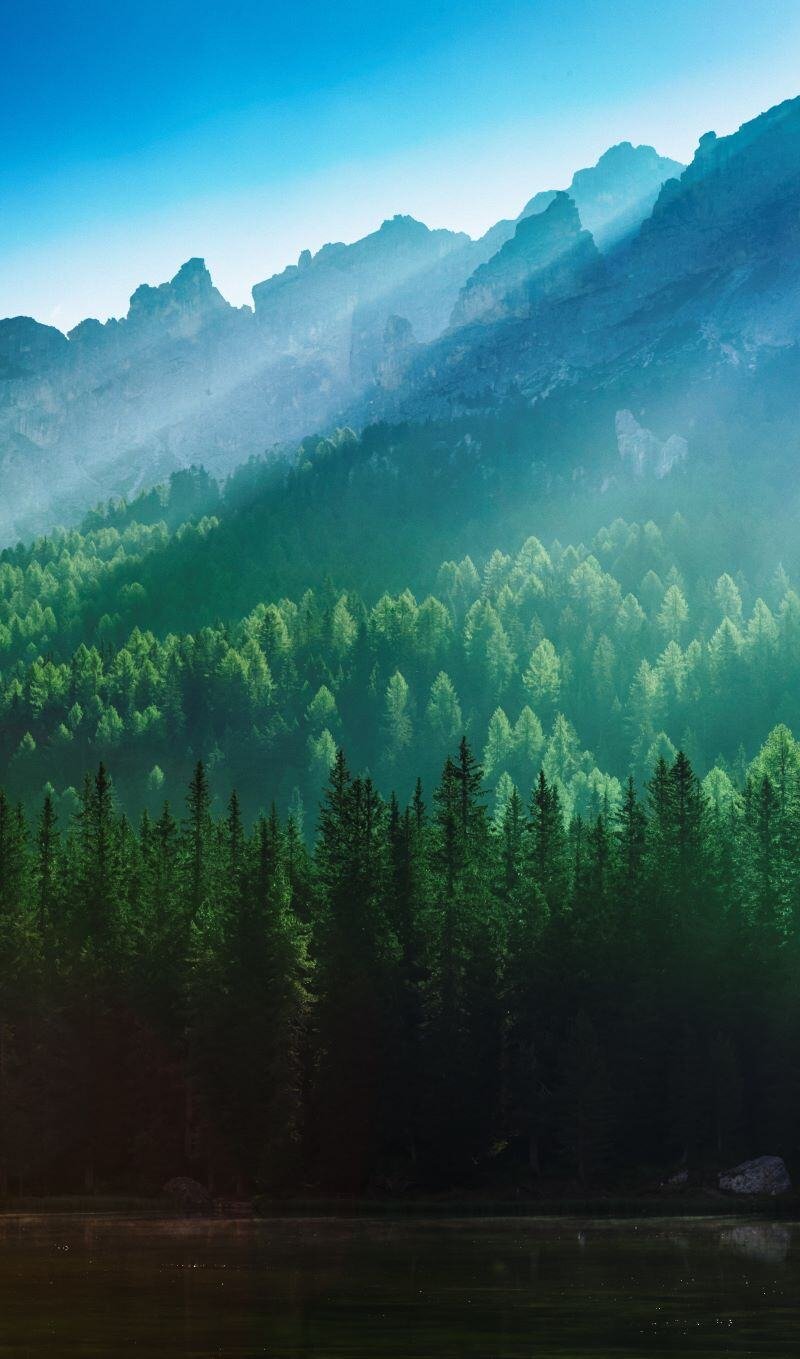 State of the Insurance Market | 2025 Outlook | Environmental