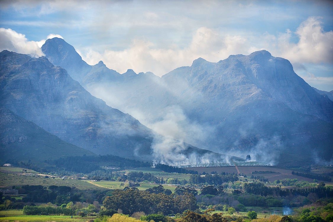 Wildfire and Smoke Taint Protection Technologies for Wineries